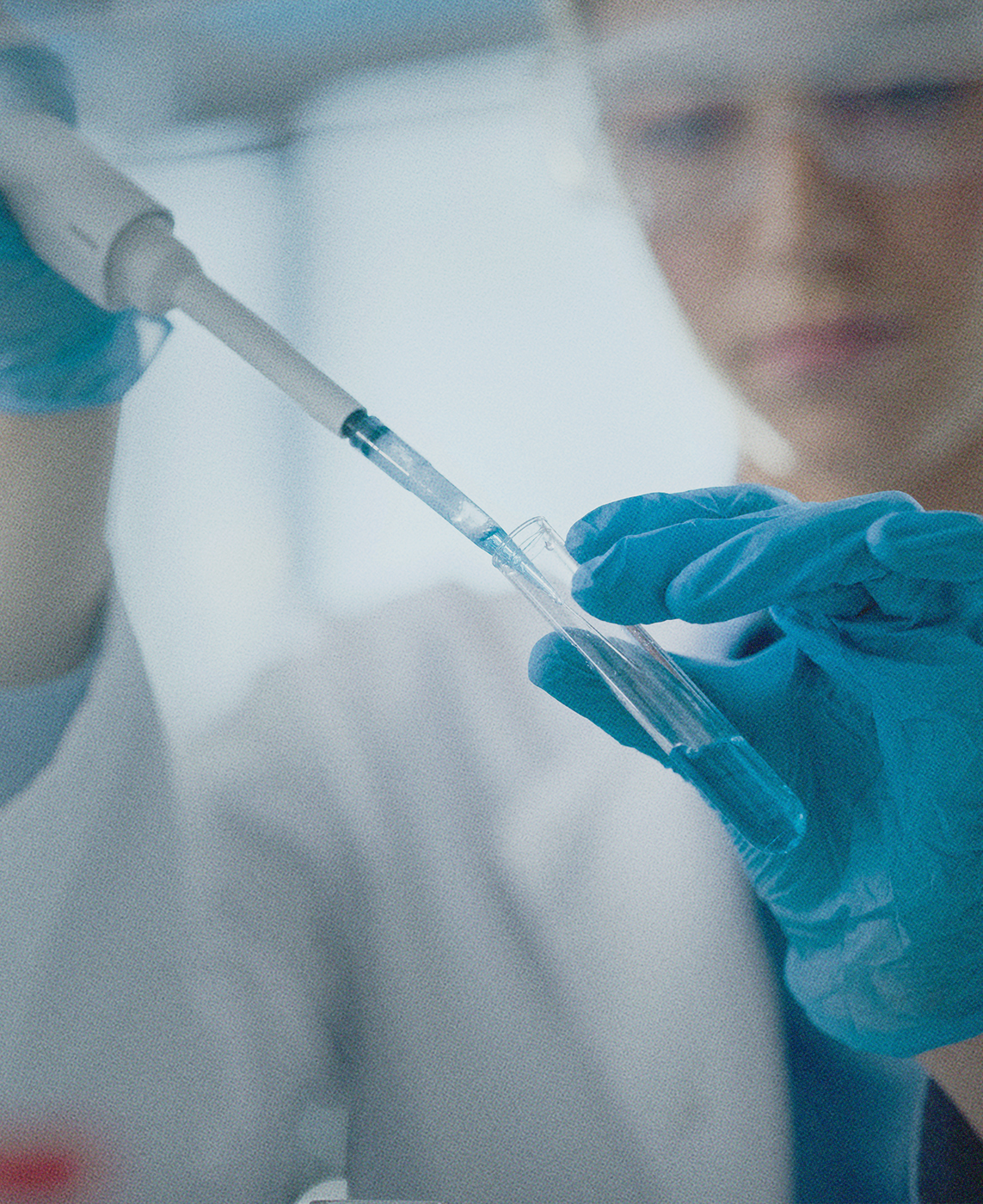 Chemical Guidance | Habitable | Safer Chemical Choices