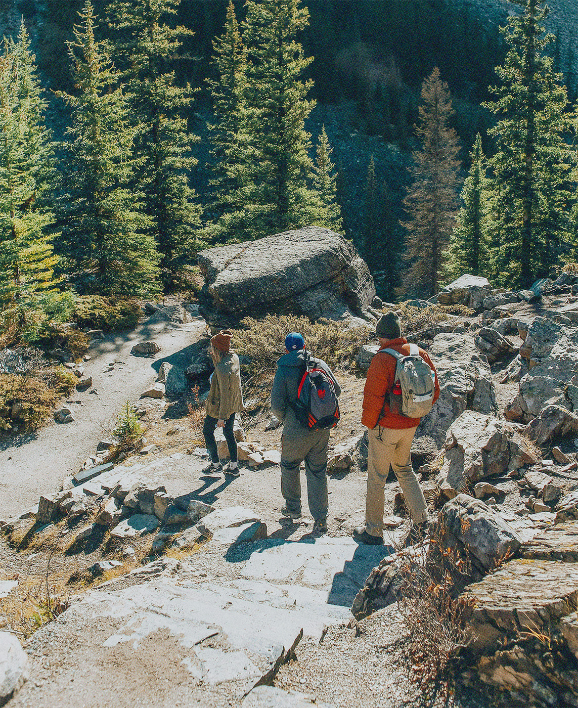 Careers | Habitable | Join Habitable and Transform the Materials Economy